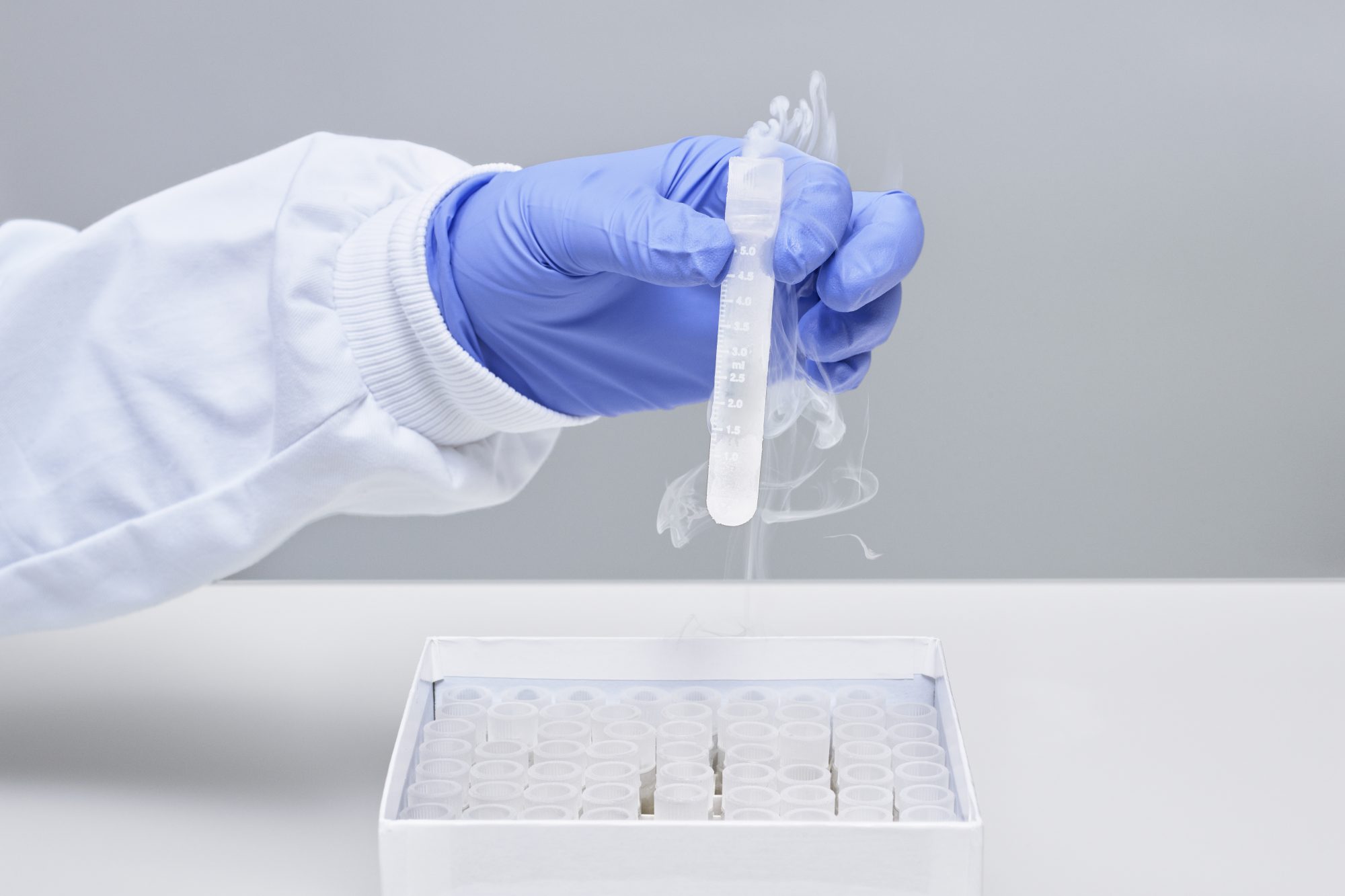 Marker | Our products